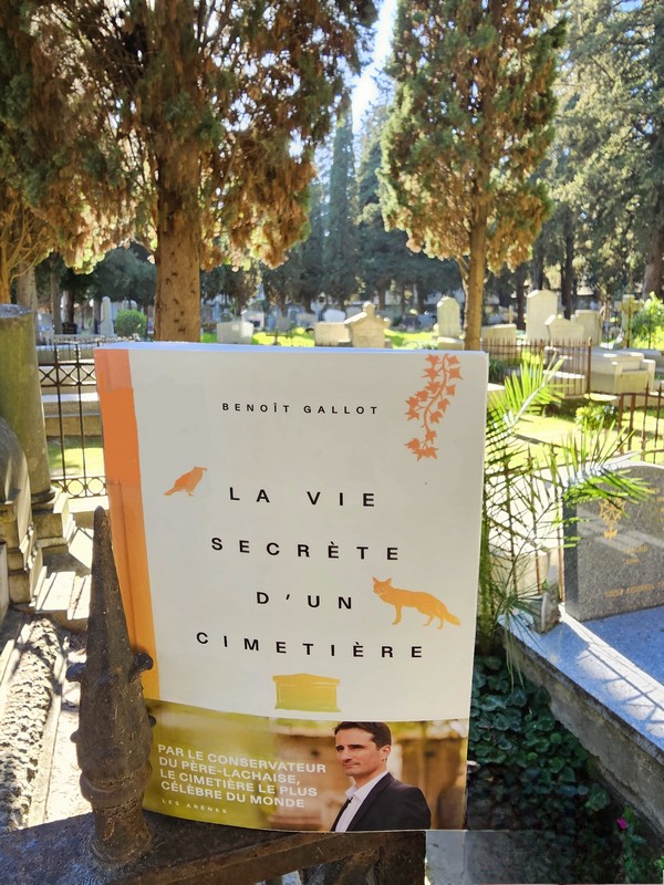 Chronique lecture ️: La vie secrète d’un cimetière de Benoît Gallot ...