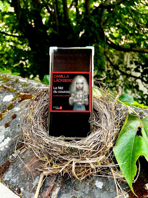 Chronique lecture : Le nid du coucou de Camilla Läckberg (Enquêtes ...